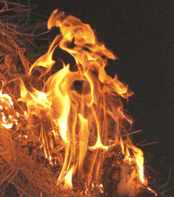 Gallery – Training Division